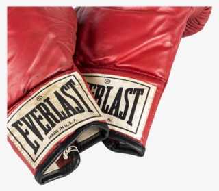 Everlast Transparent PNG - 680x599 - Free Download on NicePNG