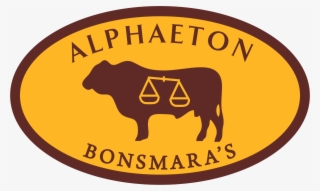 Bonsmara Transparent PNG - 1498x897 - Free Download on NicePNG