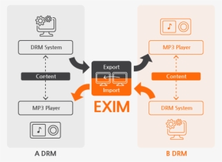 Inka Entworks' Exim - Diagram Transparent PNG - 664x487 - Free Download ...