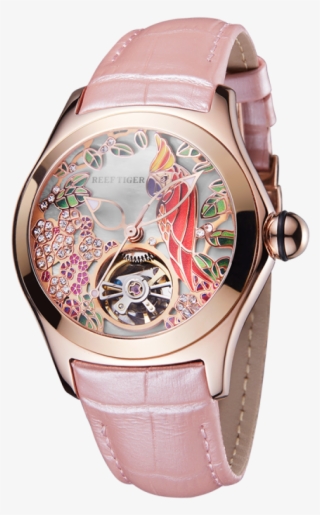 Rga7105 Pspd Transparent PNG - 800x800 - Free Download on NicePNG